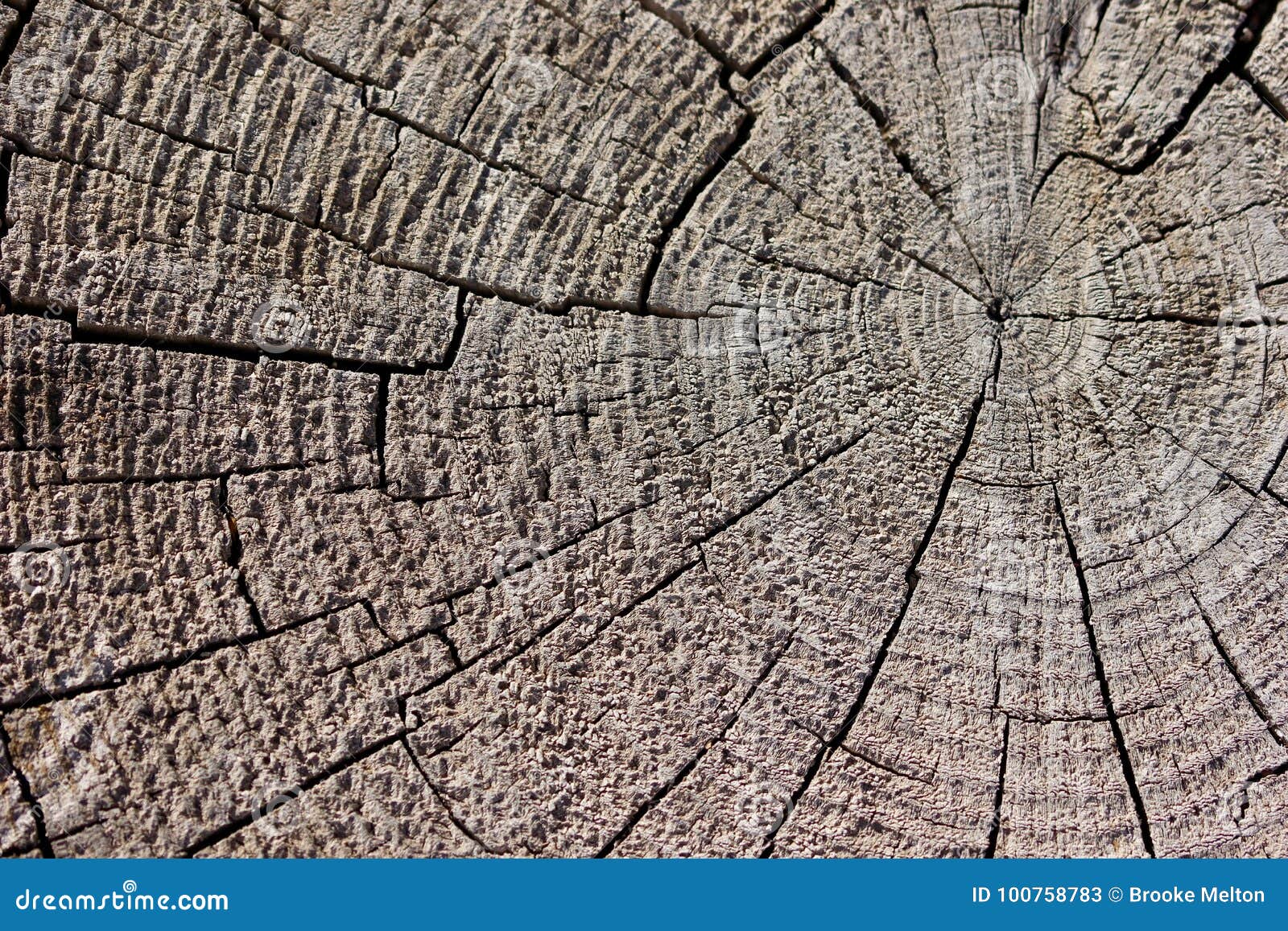 Radial Wood Triangle Pattern Stock Photo | CartoonDealer.com #42668418