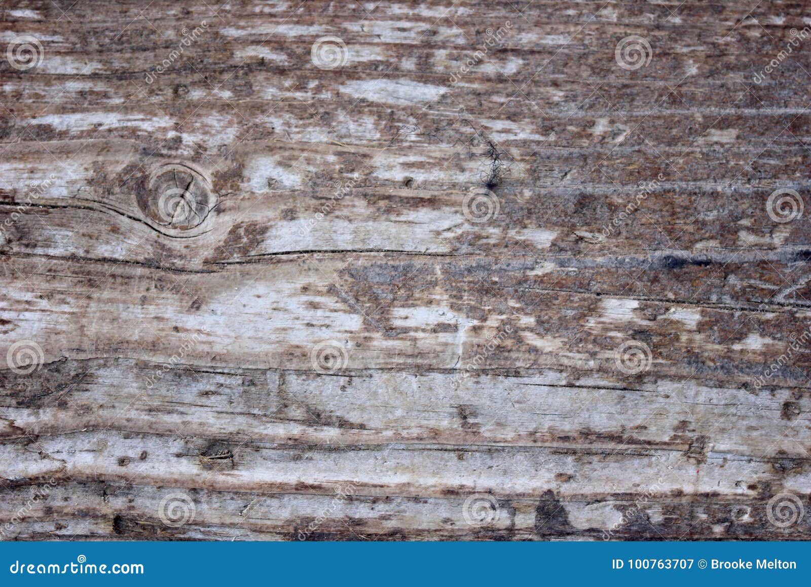 Rustic Weathered Wood Grain Background Stock Image - Image of fluffy ...