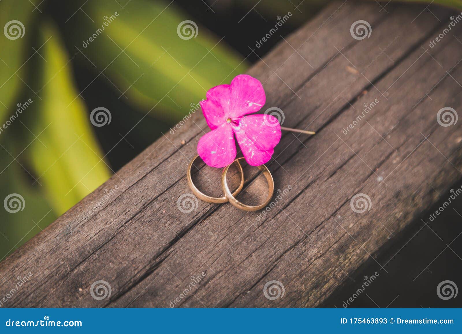 Rustic Wedding Ring with Flower Stock Image - Image of boyfriends ...