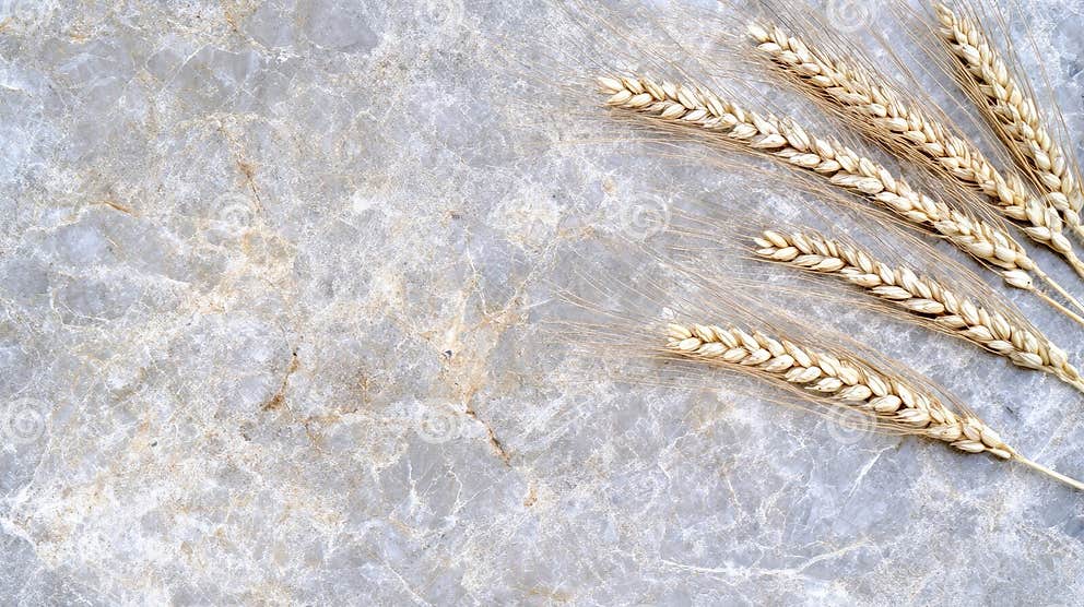 A Rustic Wheat Sheaf Rests on a Grey Marble Background, Providing an ...