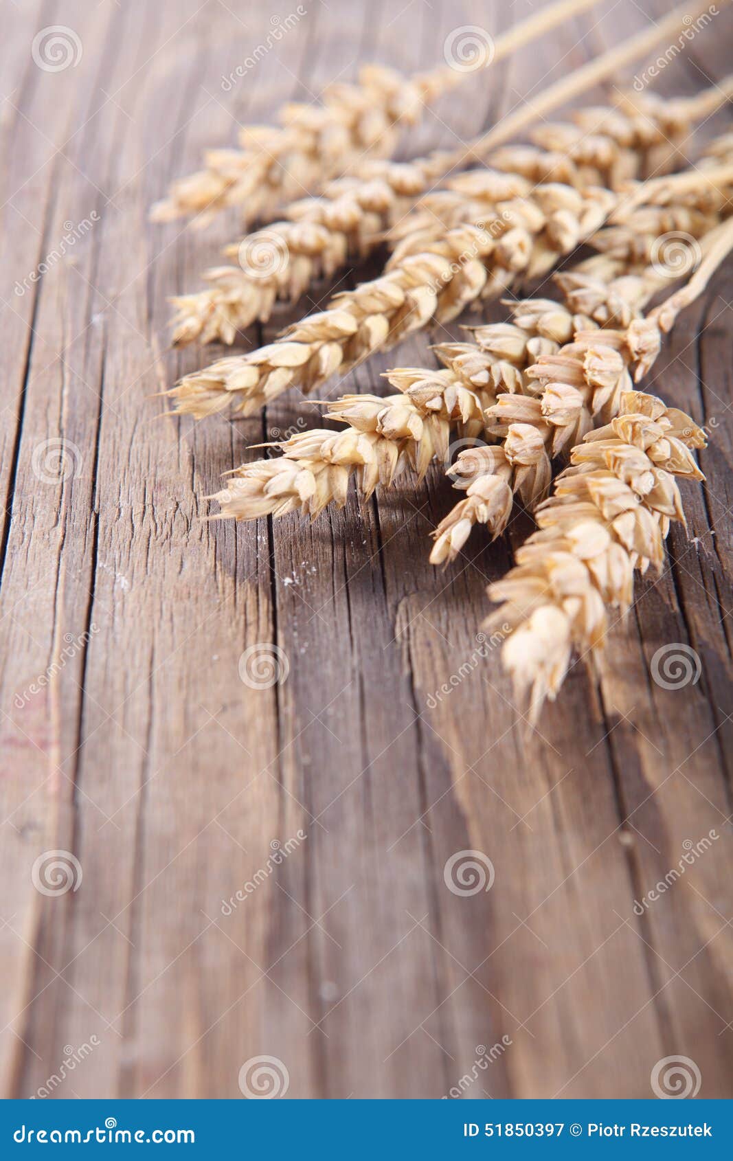 Rustic Wheat on Vintage Wood Table Stock Image - Image of loaf, poster ...