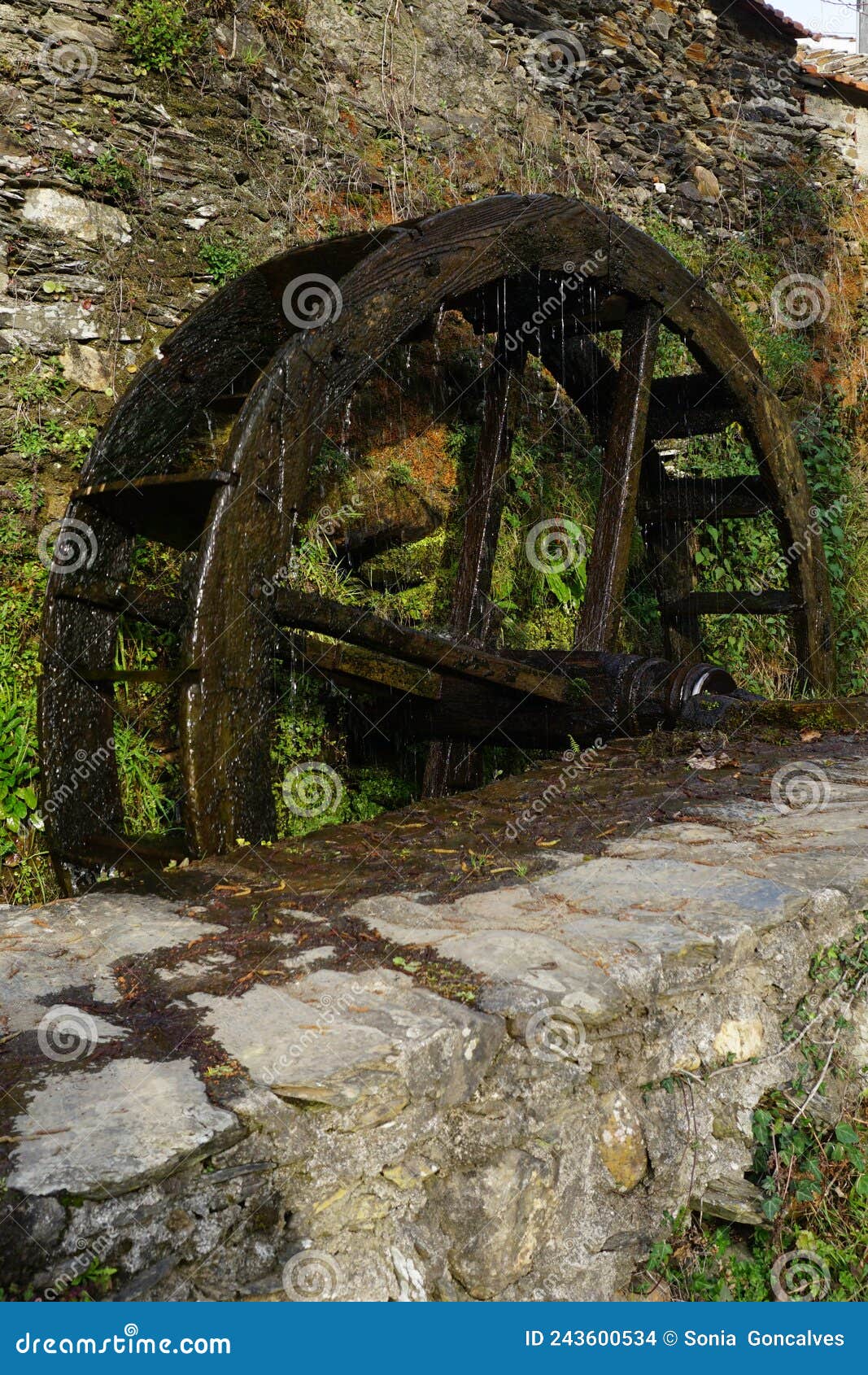 Rustic wheel of water mill stock photo. Image of architecture - 243600534