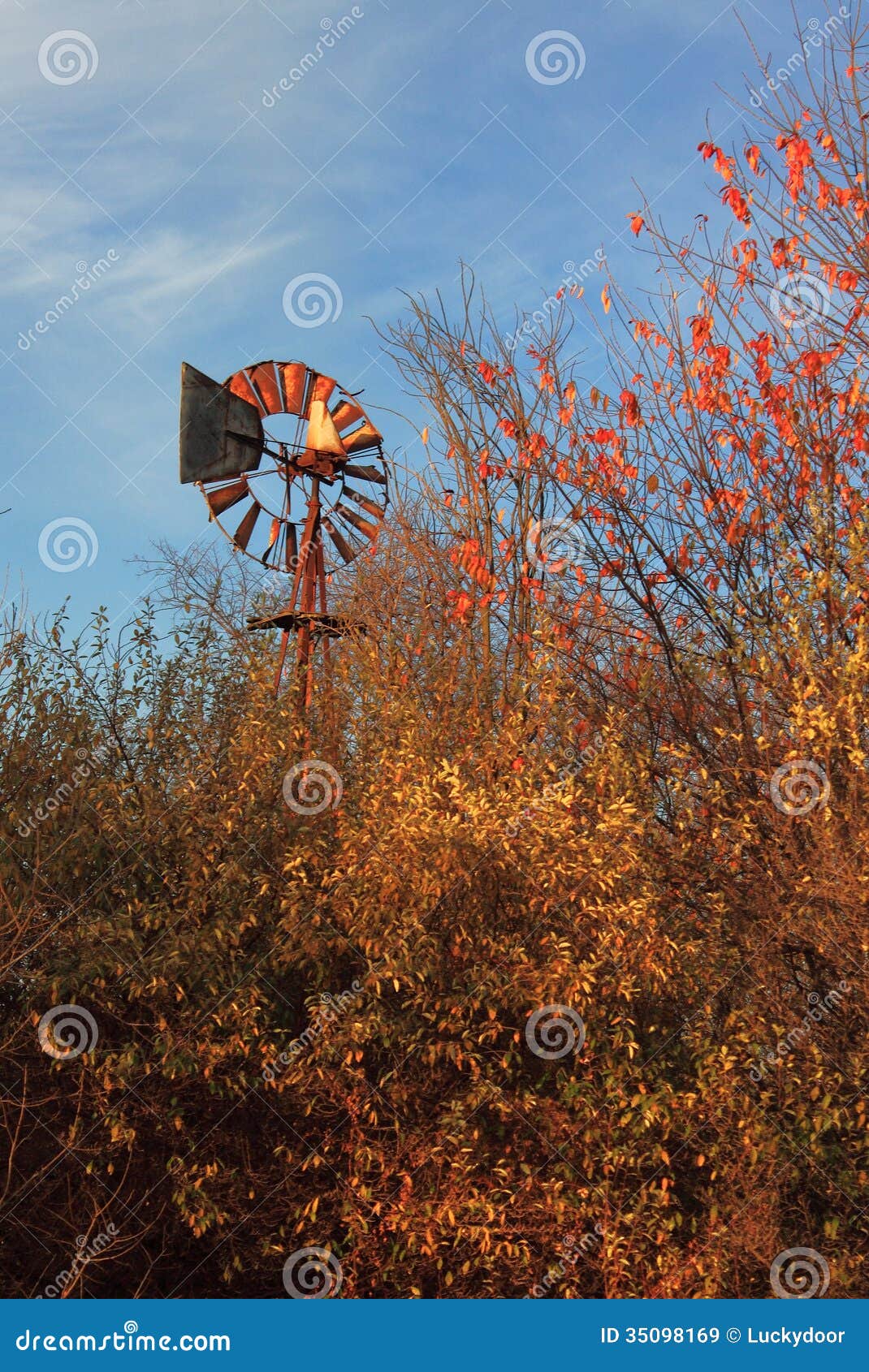 Rustic Windmill in Wood stock image. Image of vintage - 35098169