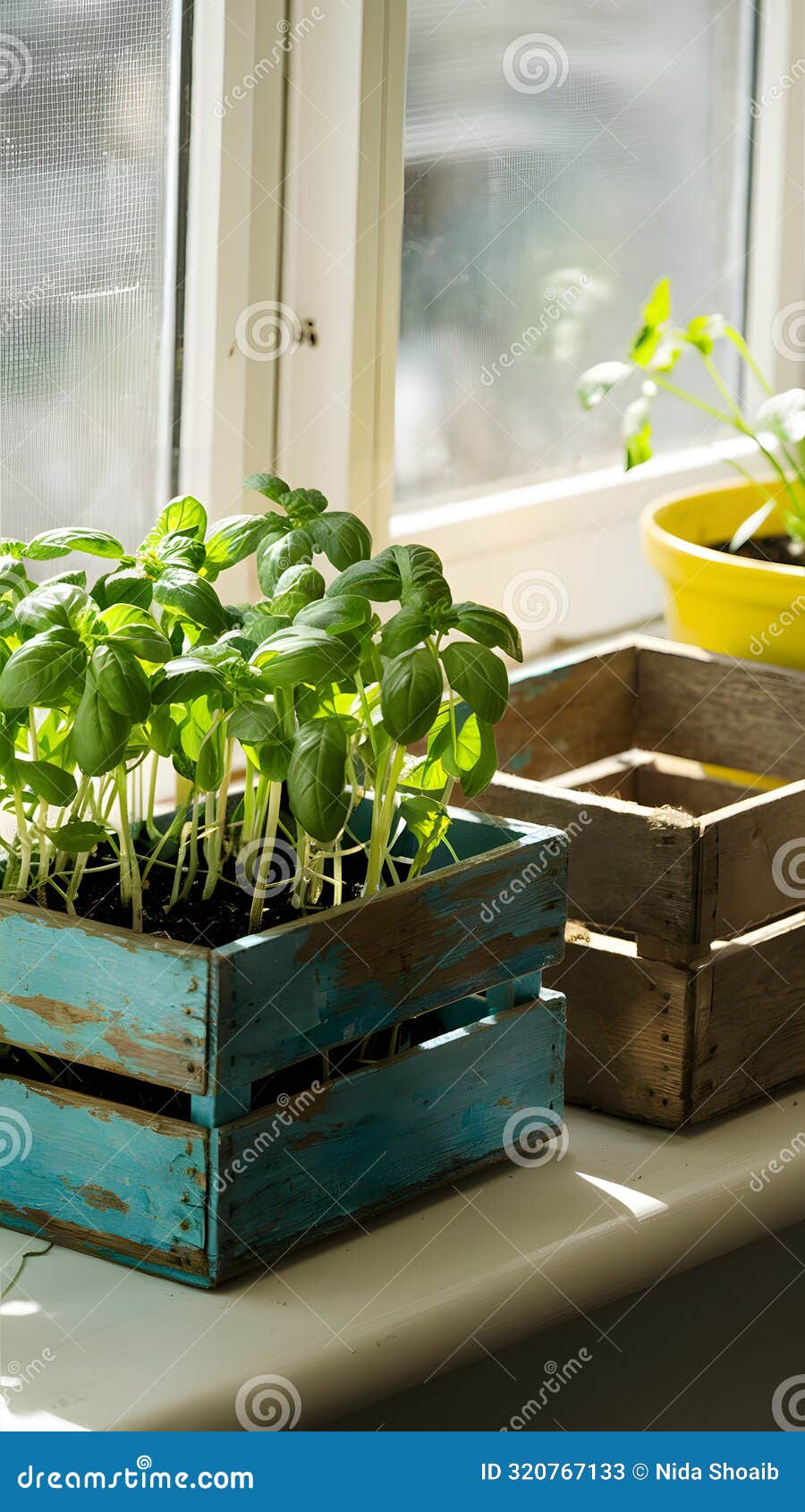 Rustic Window Sill with Crates of Seedlings and Yellow Pot in Sunlight ...