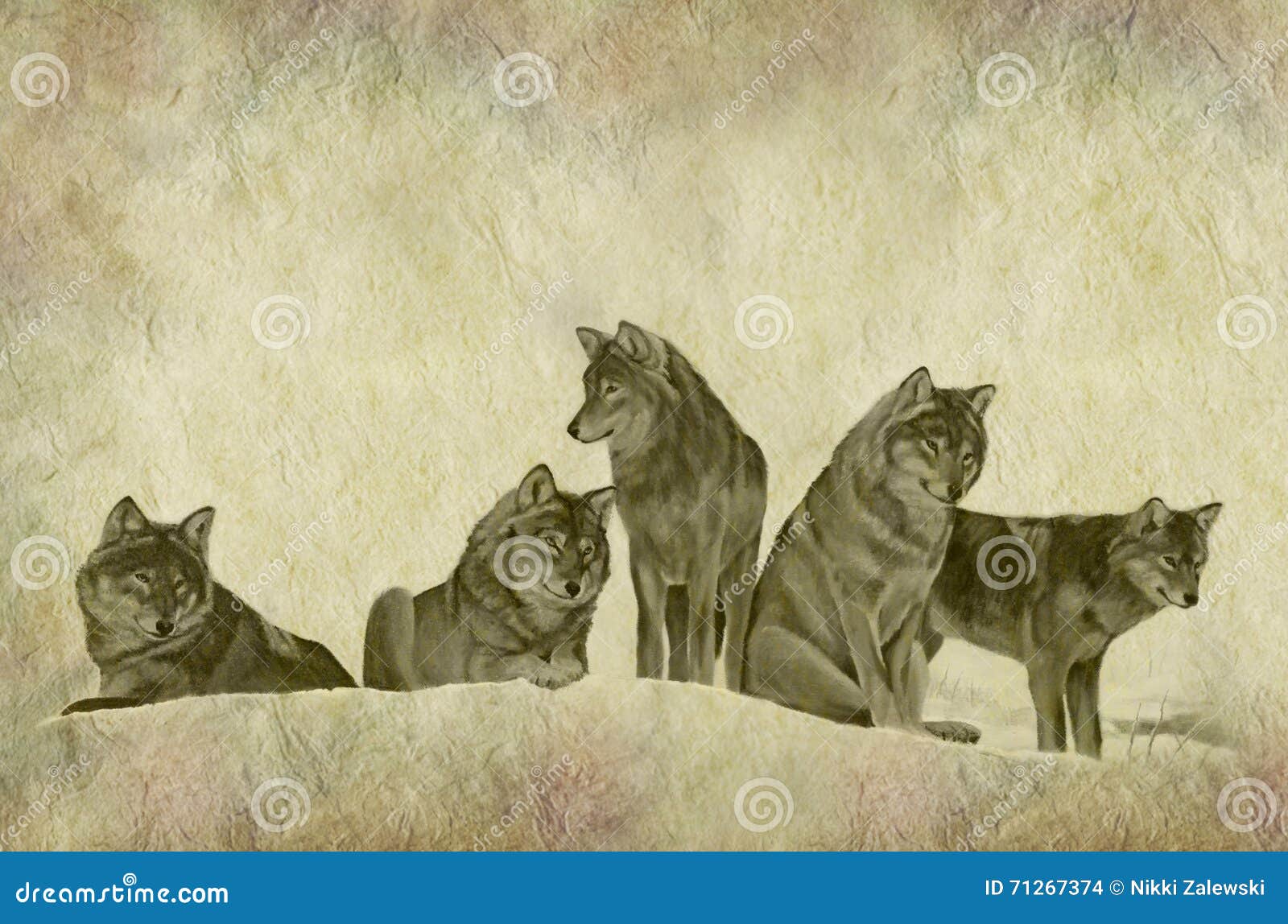 Pack Of Wolves Running Drawing