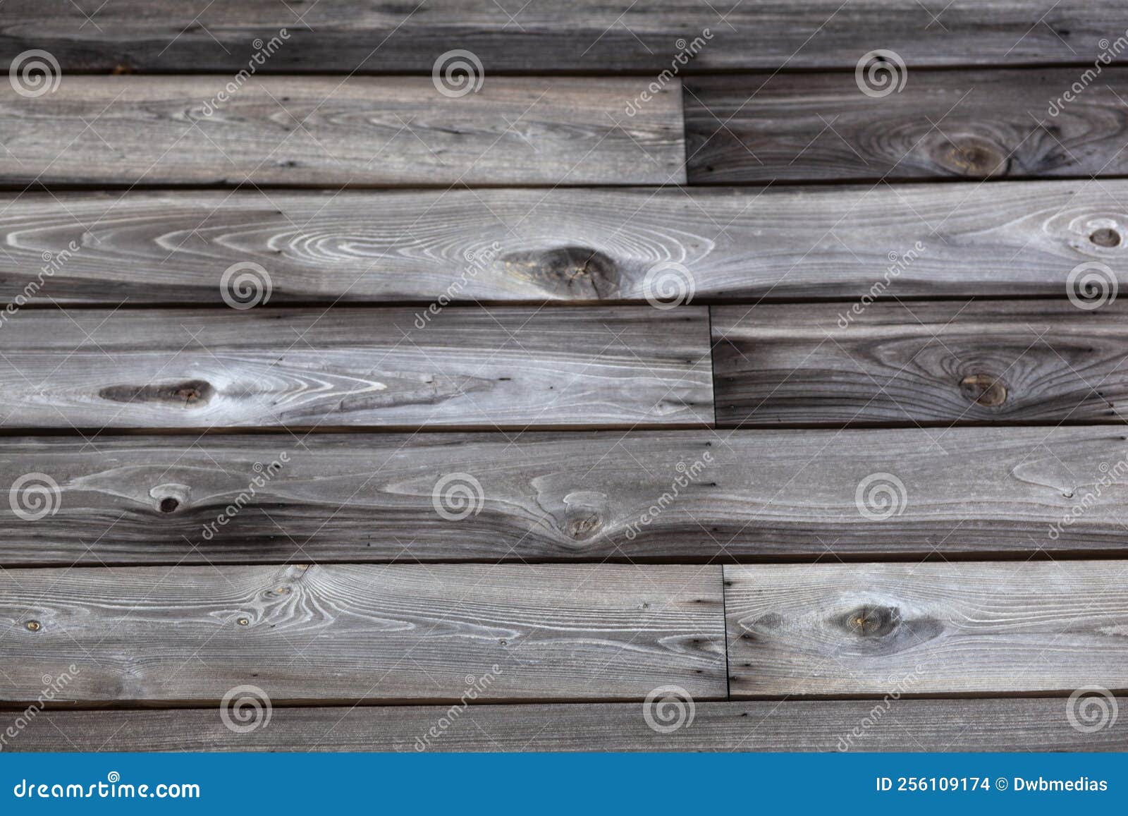 Rustic wood boards stock photo. Image of board, floor - 256109174