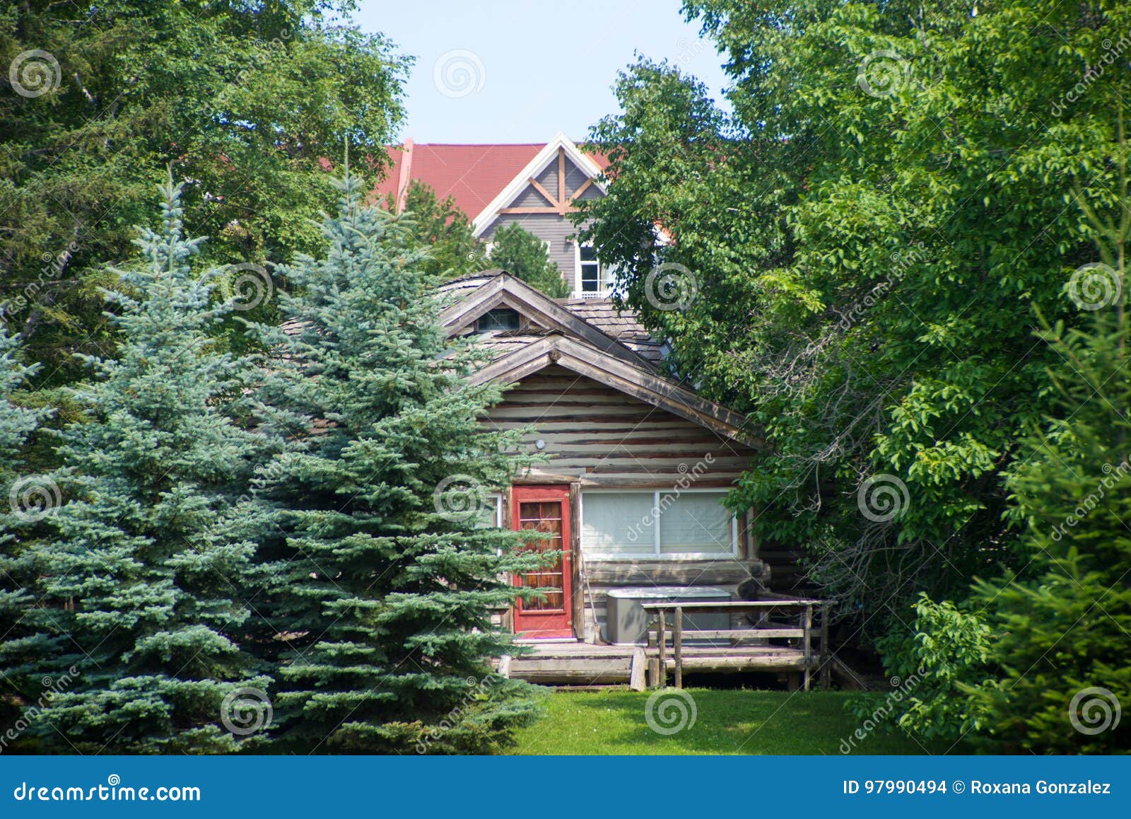 Rustic Wood Cottage among Pine Trees in Ontario Forrest Stock Photo ...