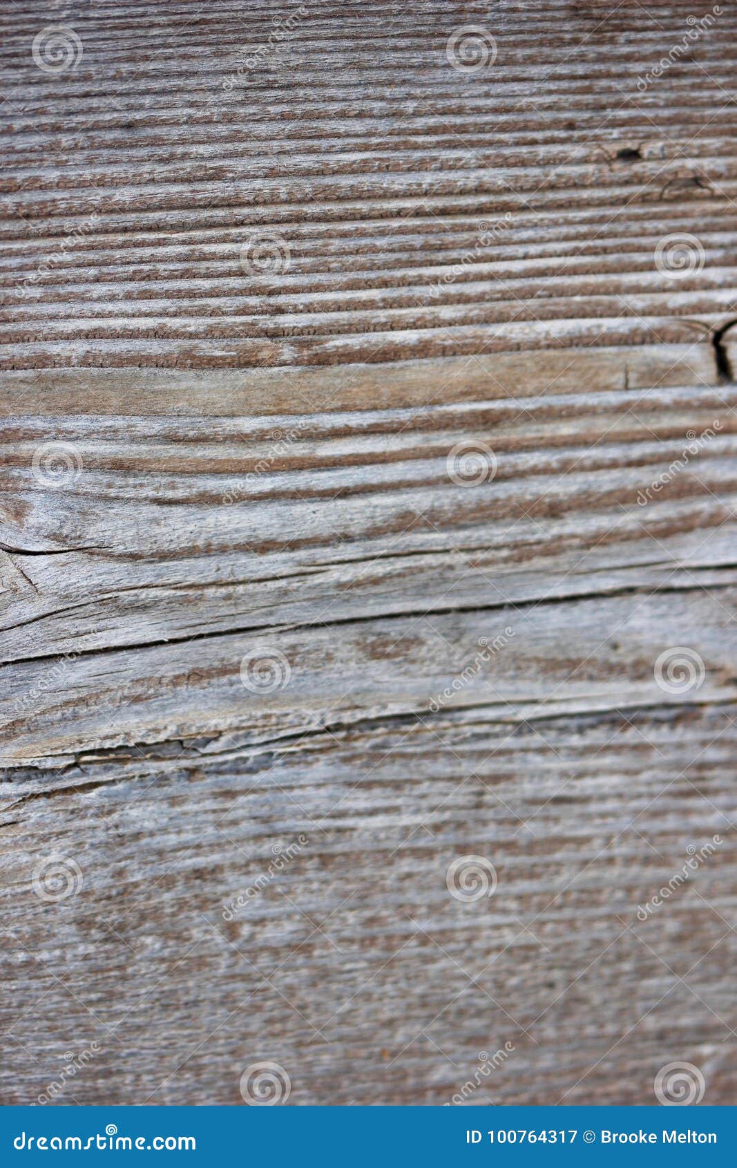 Rustic Wood Grain Texture Background Stock Image - Image of panel ...
