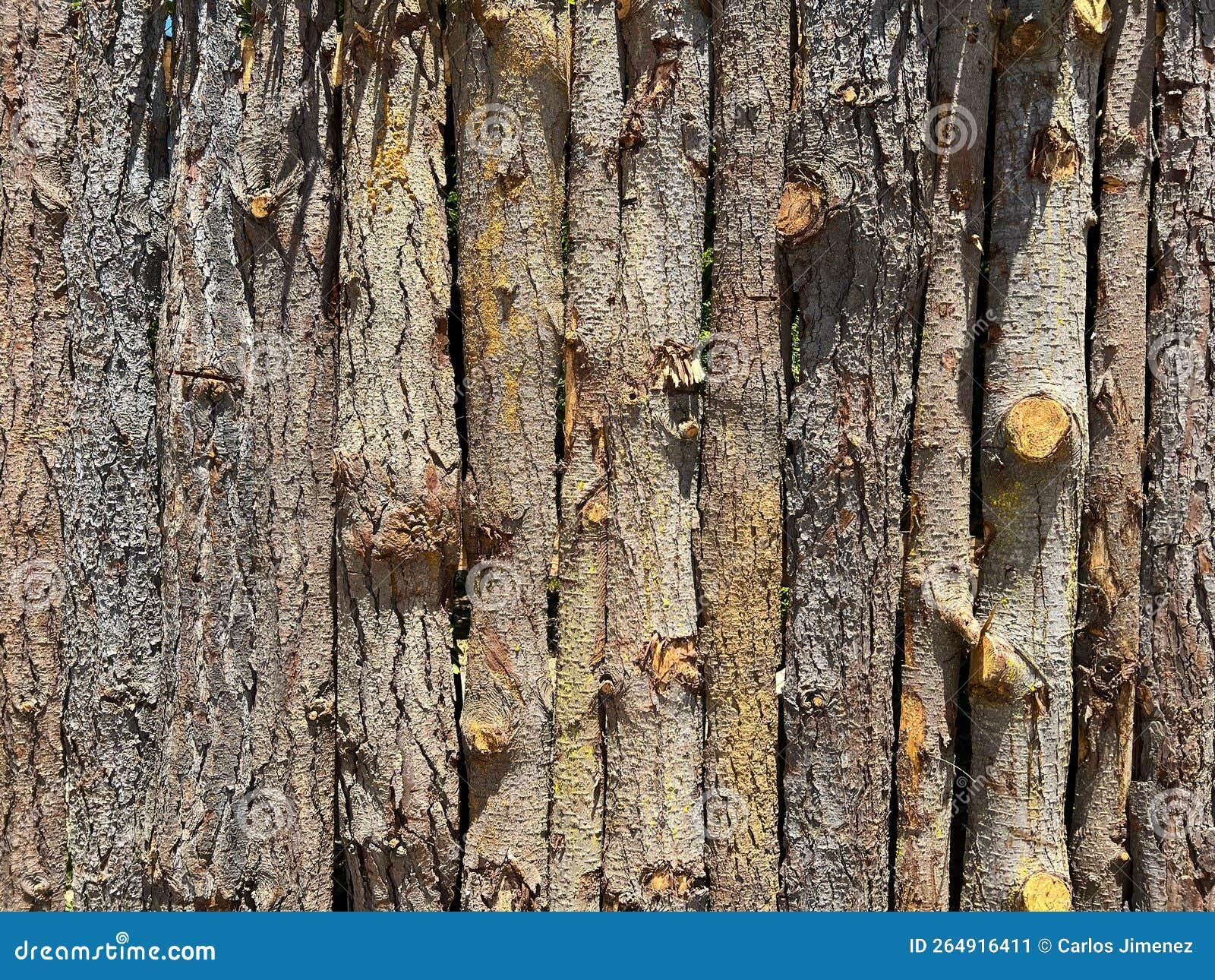 Rustic Wood Log Fence Handmade Texture Stock Image - Image of timber ...