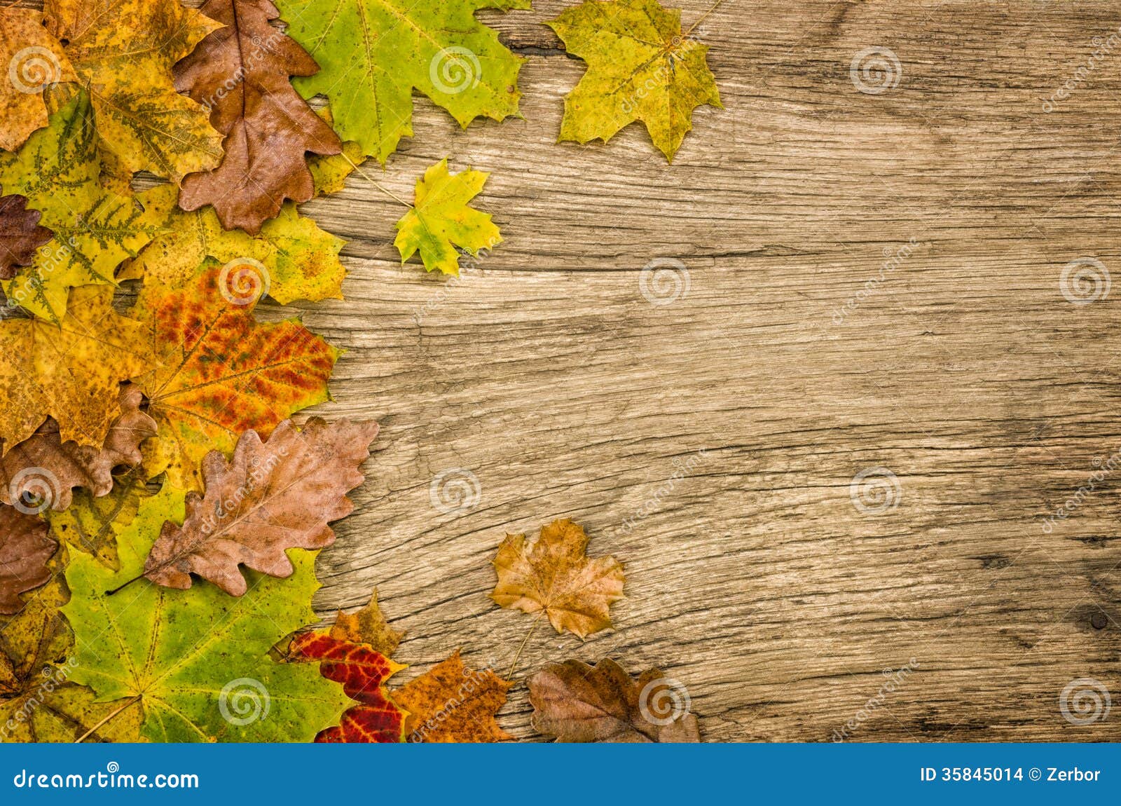 Rustic Wooden Background with Colorful Leaves Stock Photo - Image of ...