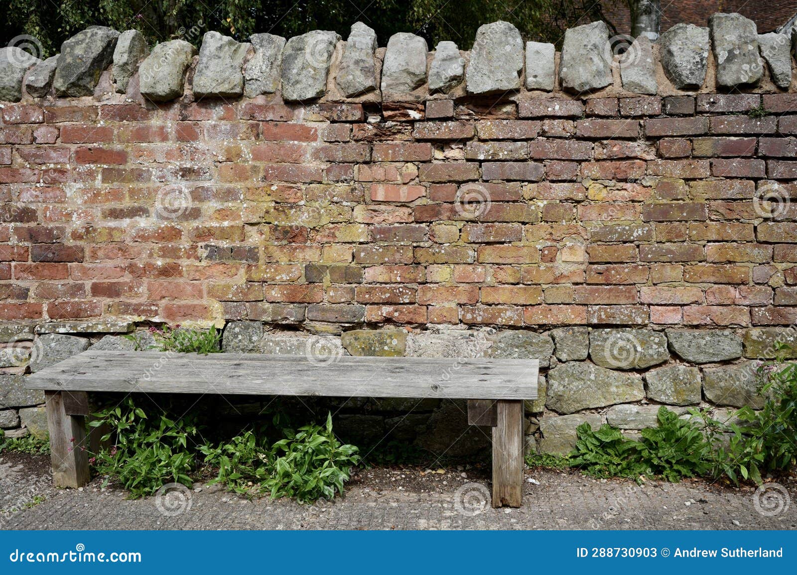 Rustic Wooden Bench in Front of an Aged Brick Wall. Stock Image - Image ...