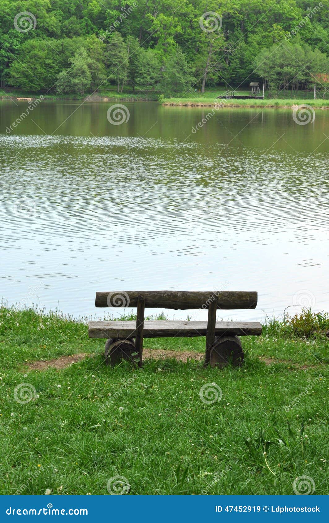 Rustic Wooden Bench Near a Lake Stock Image - Image of green, empty ...