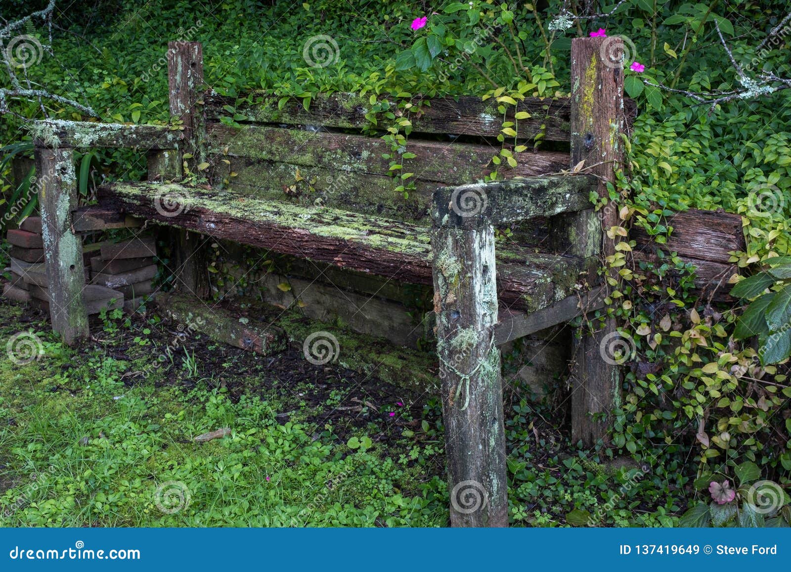 Rustic wooden bench stock image. Image of bench, environment - 137419649