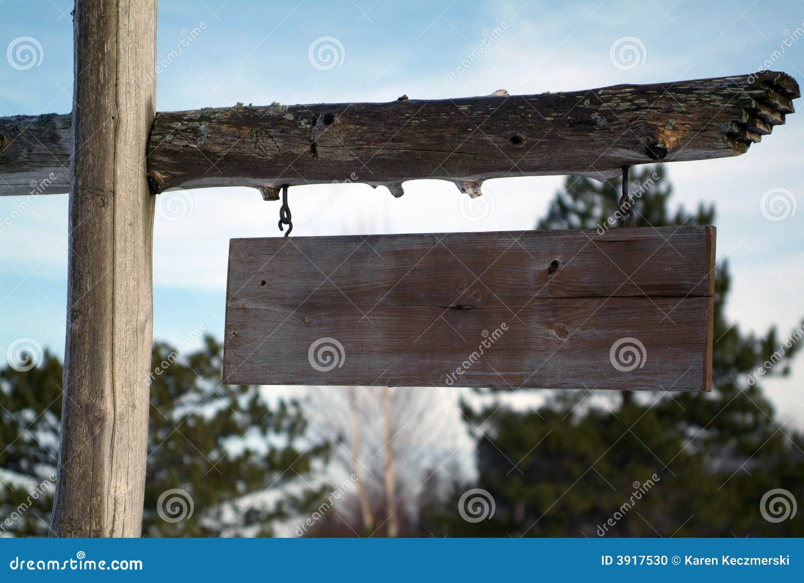 Rustic wooden blank sign stock photo. Image of label, sign - 3917530