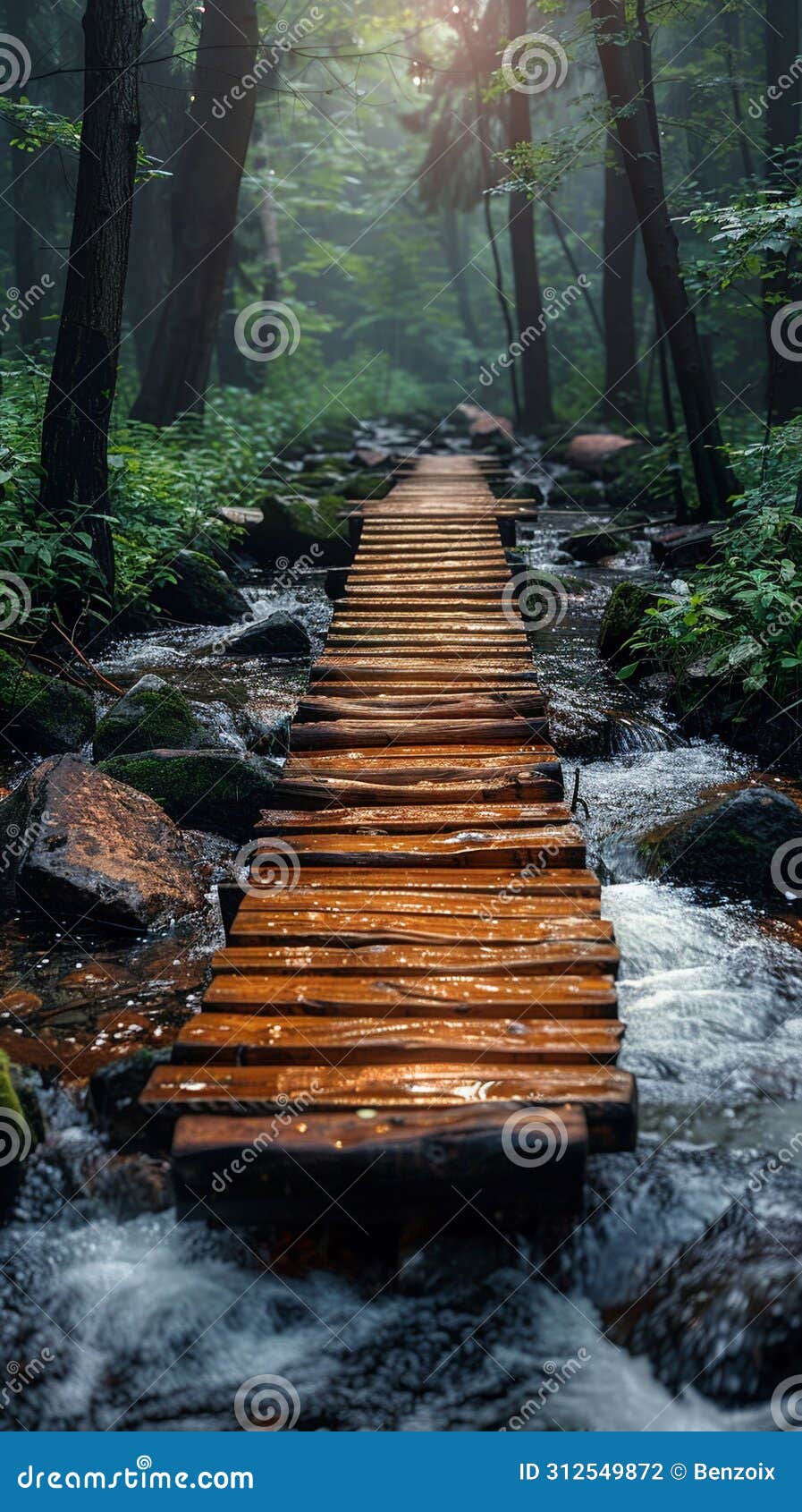 A Rustic Wooden Bridge Over a Forest Stream Stock Photo - Image of ...