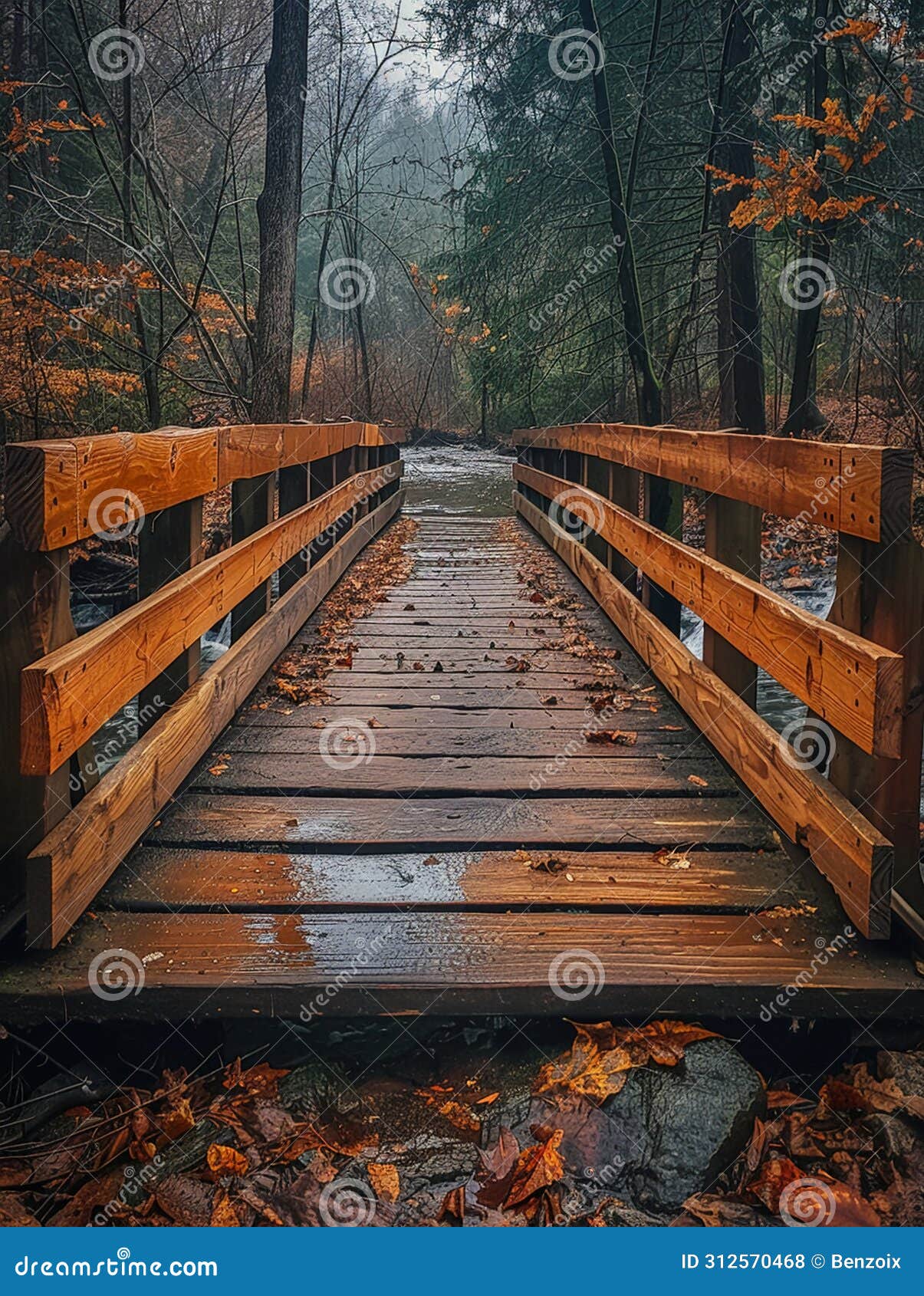 A Rustic Wooden Bridge Over a Forest Stream Stock Photo - Image of ...