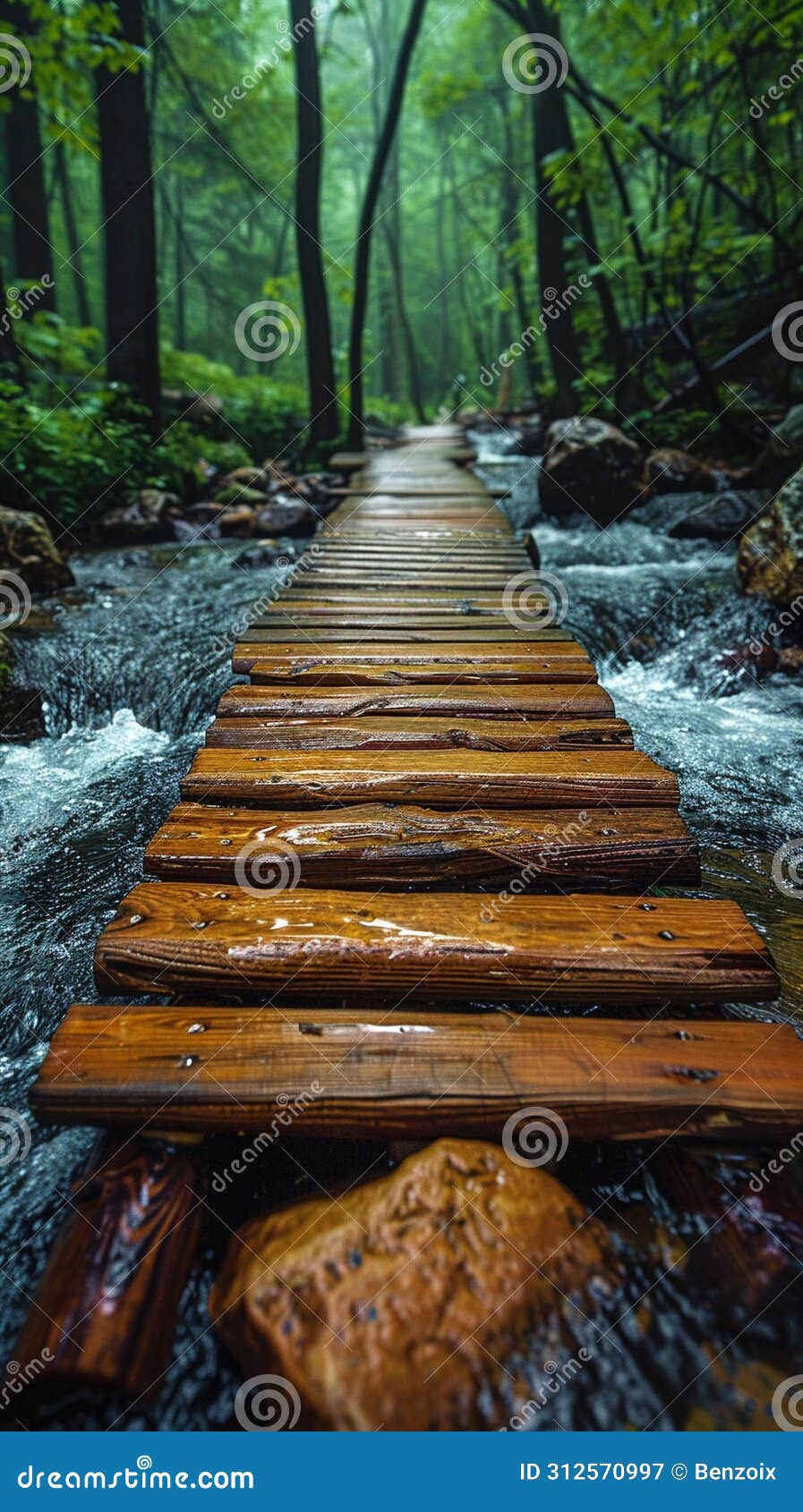 A Rustic Wooden Bridge Over a Forest Stream Stock Image - Image of wood ...