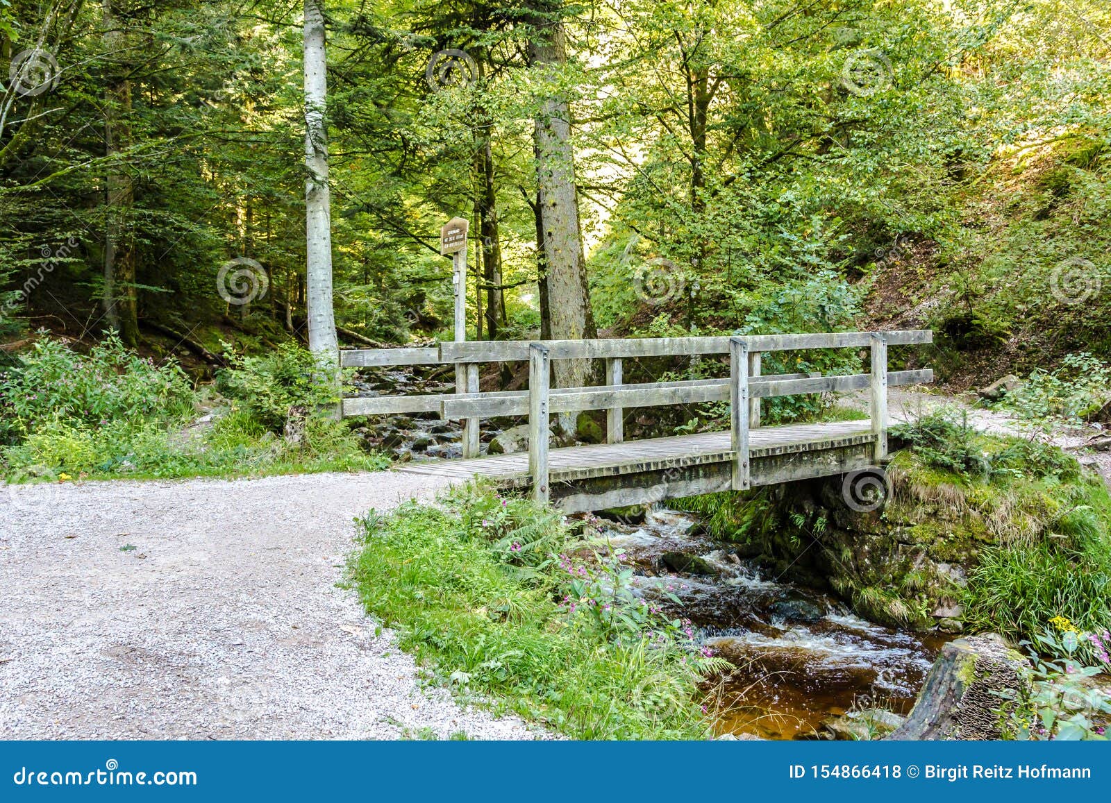 Rustic Wooden Bridge Over a Forest Stream Stock Photo - Image of trail ... Rustic Wooden Bridge Over a Forest Stream Stock Photo - Image of trail ...