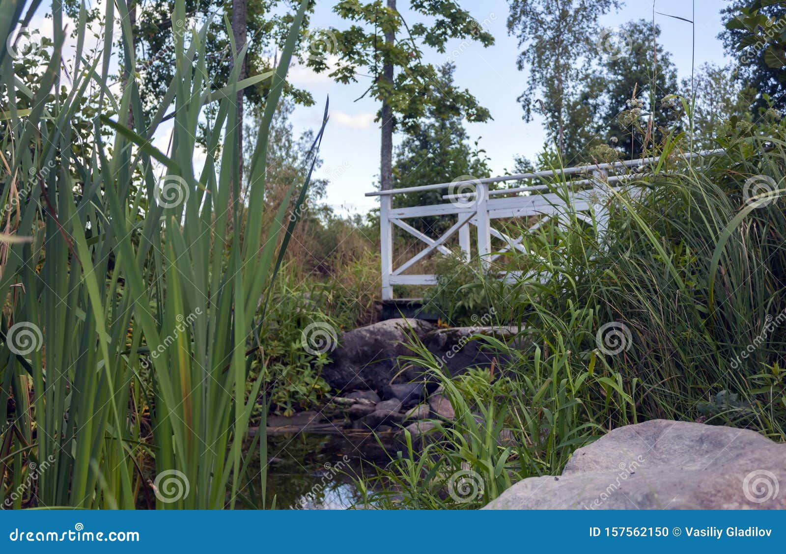 Rustic Wooden Bridge Over a Small Stream Stock Photo - Image of creek ...