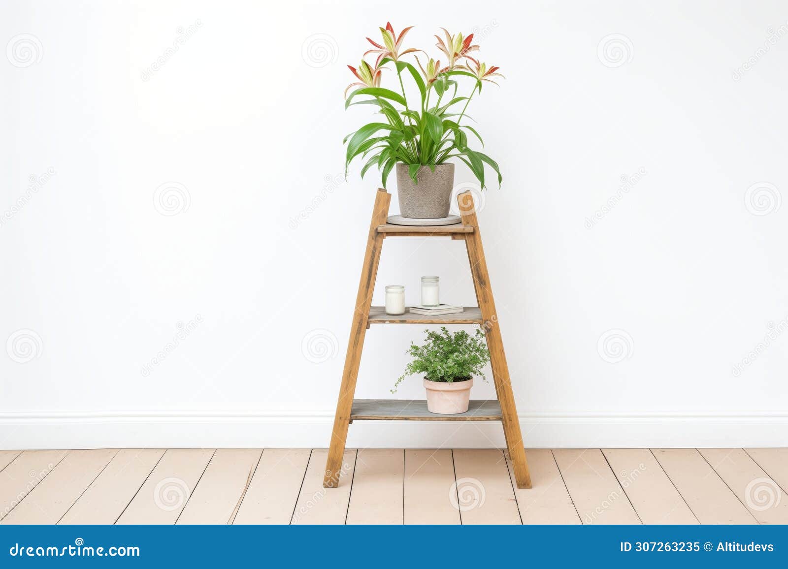 Rustic Wooden Ladder Repurposed As a Plant Stand Stock Image - Image of ...