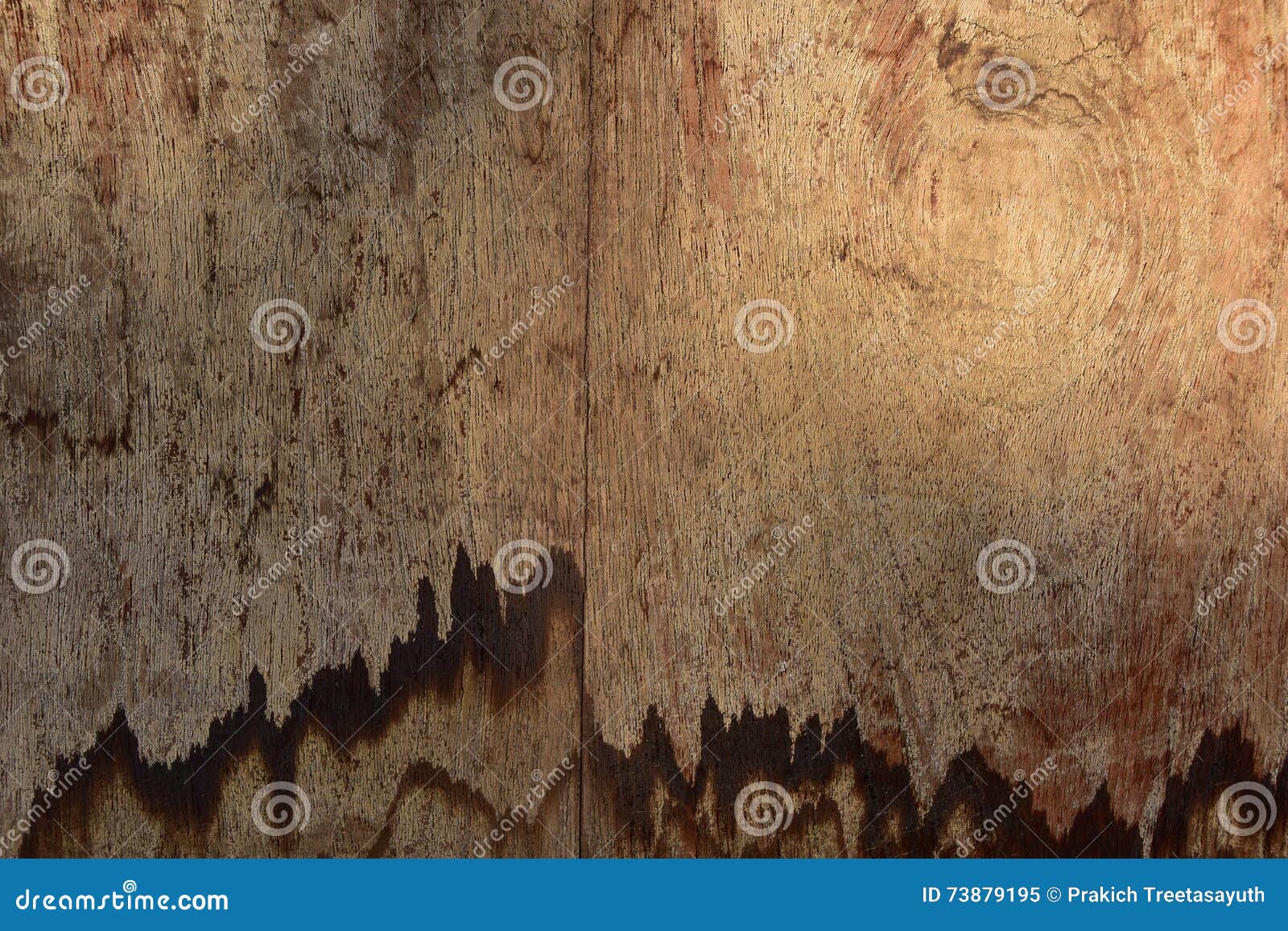 Rustic wooden panel stock image. Image of wood, plank - 73879195