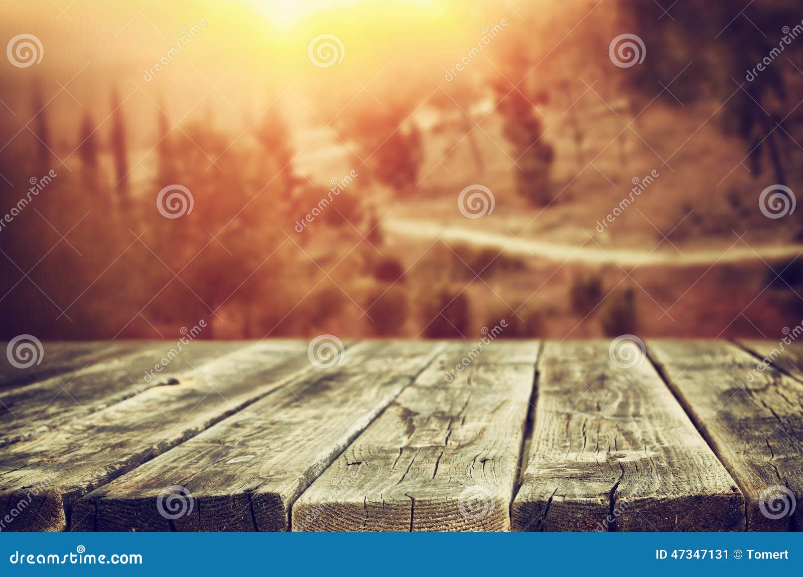 Rustic Wooden Planks in Front of Forest Landscape in Sunset Stock Image ...