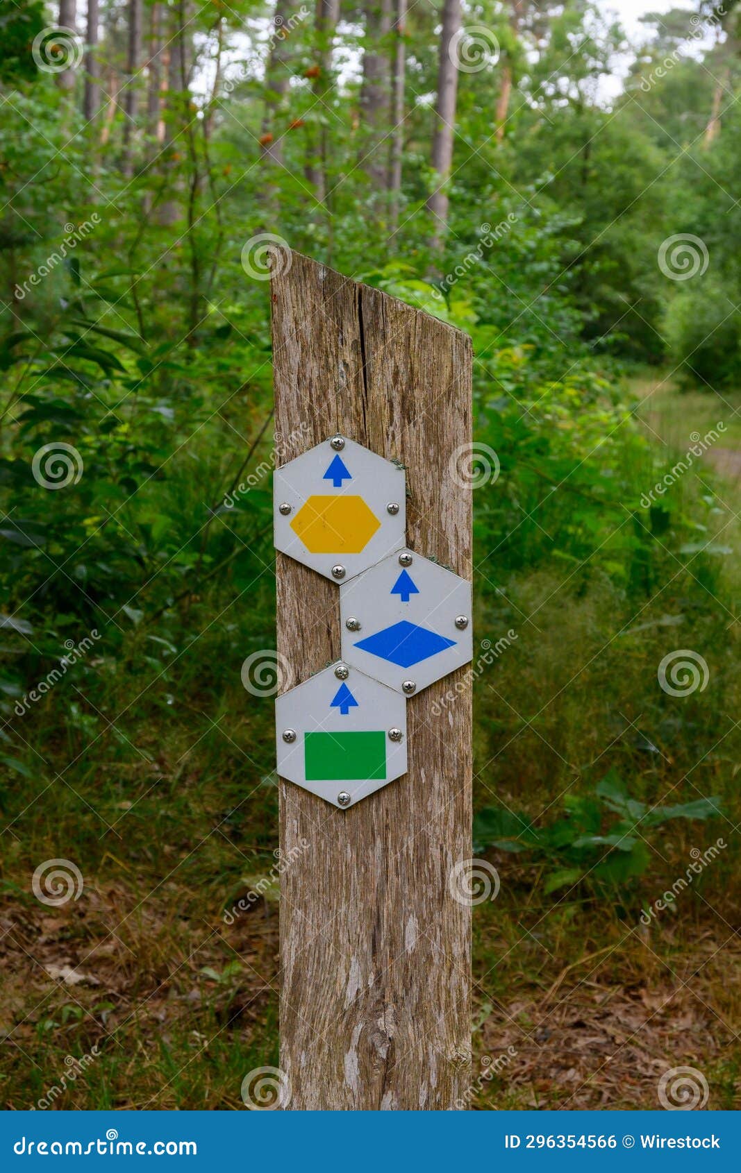 Rustic Wooden Pole with Three Arrows Suspended from it in a Natural ...