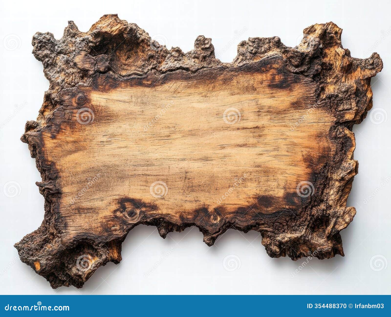 Rustic Wooden Slice with Irregular Edges Stock Illustration ...