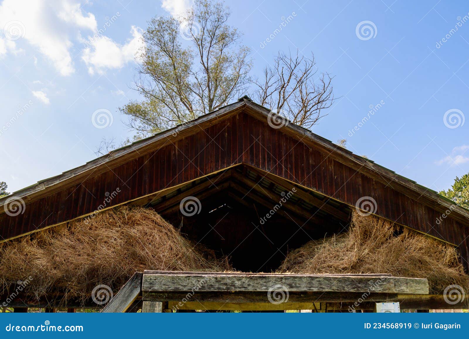 Rustic Wooden Structure for Storing Hay. Attic of the Hayloft Stock ...