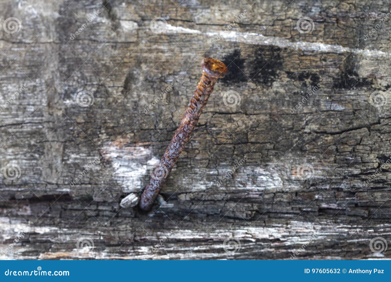Rustic Wooden Texture, Empty Soft Wood Background Stock Photo - Image ...