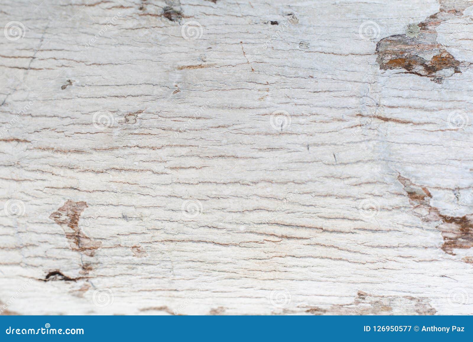 Rustic Wooden Texture, Empty Soft Wood Background Stock Image - Image ...