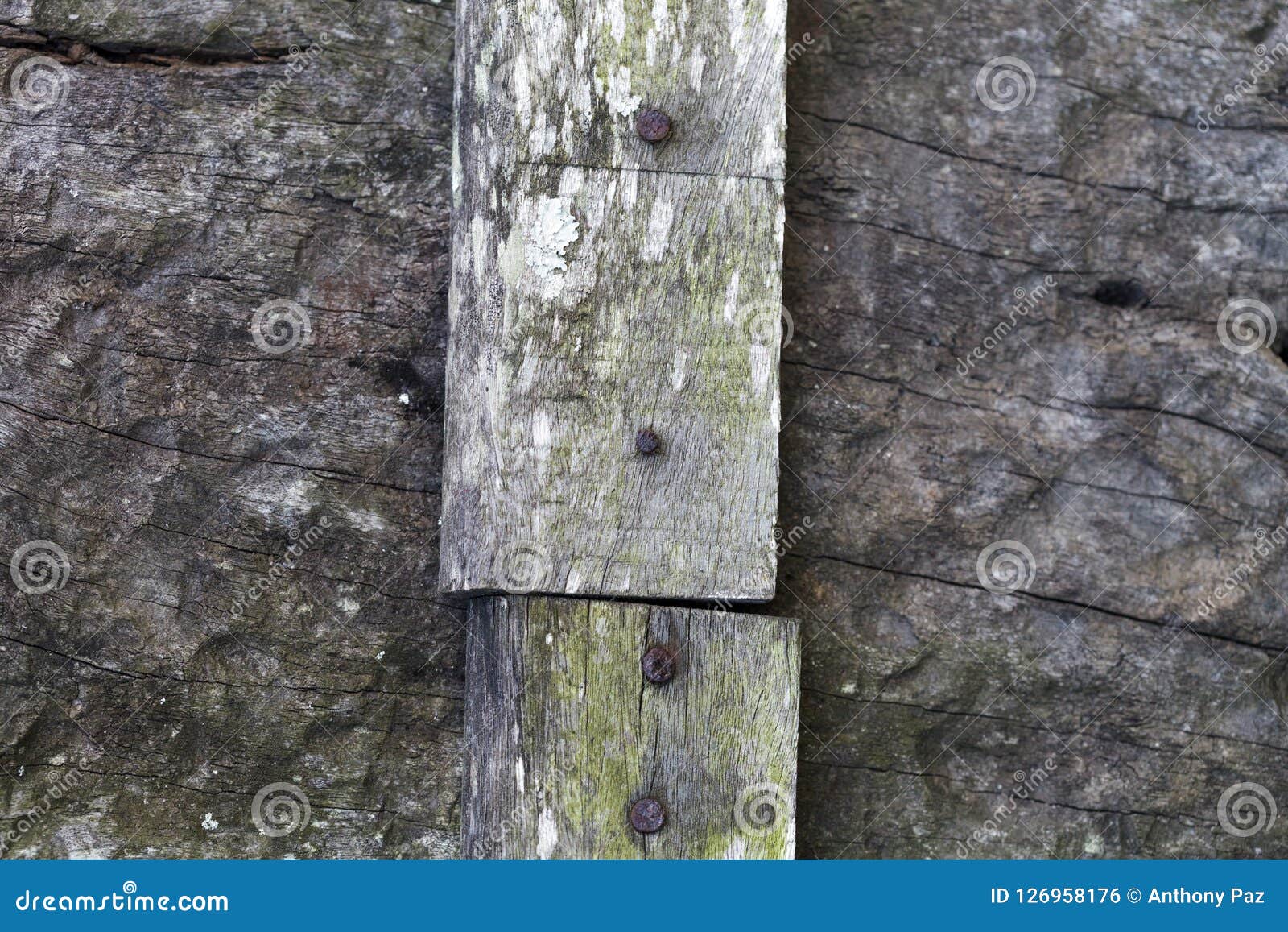 Rustic Wooden Texture, Empty Soft Wood Background Stock Photo - Image ...