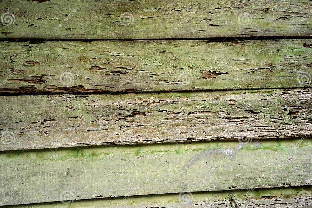 Rustic Woods, a Timeless Backdrop Stock Image - Image of idyllic ...