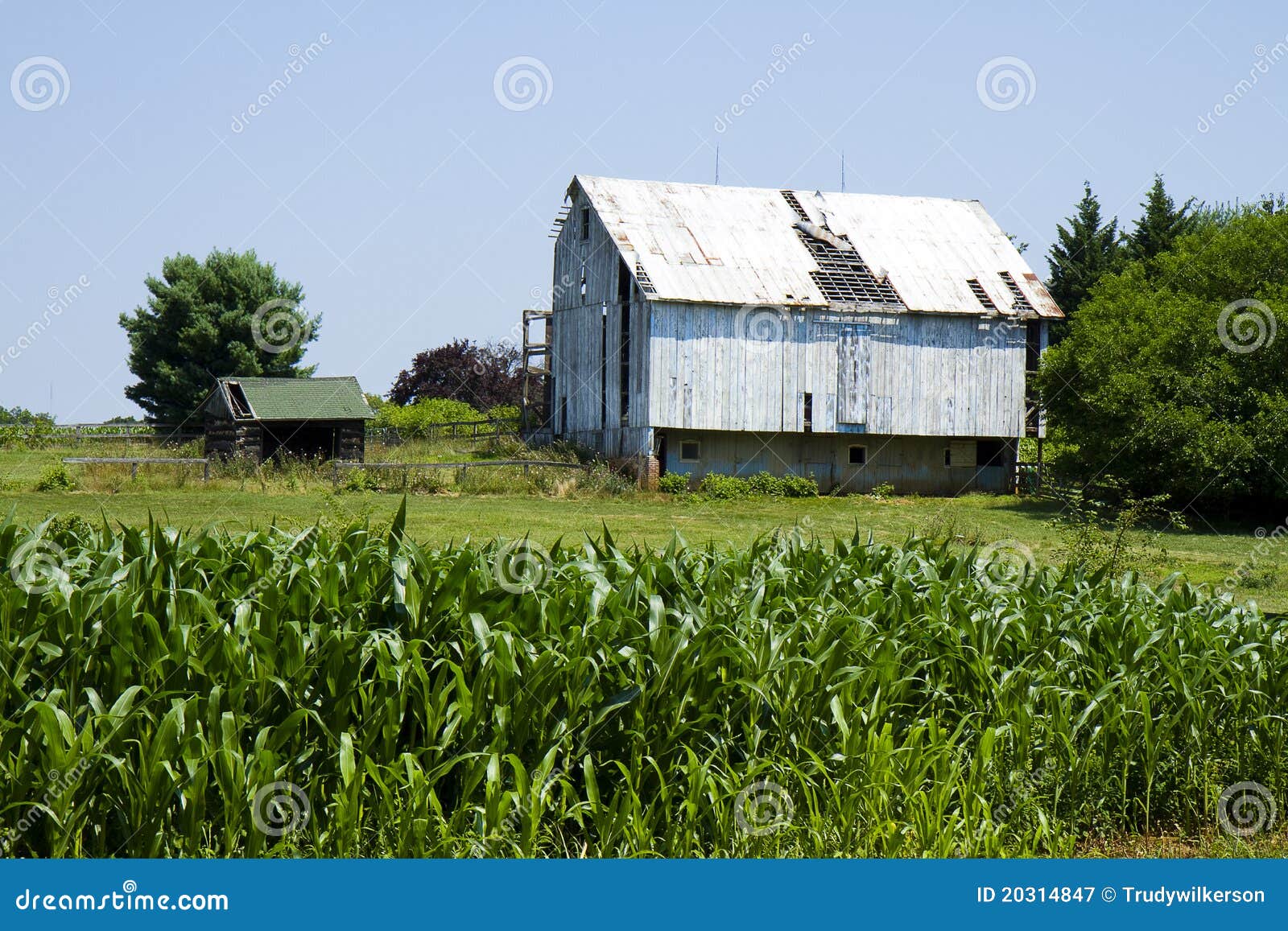 Rustic Worn-out Barn stock image. Image of crops, field - 20314847
