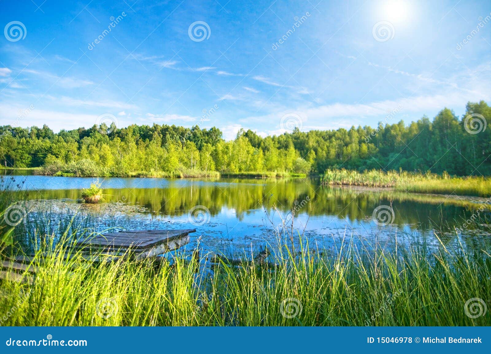 Rustig meer in het bos stock foto. Image of wolk, bezinning - 15046978