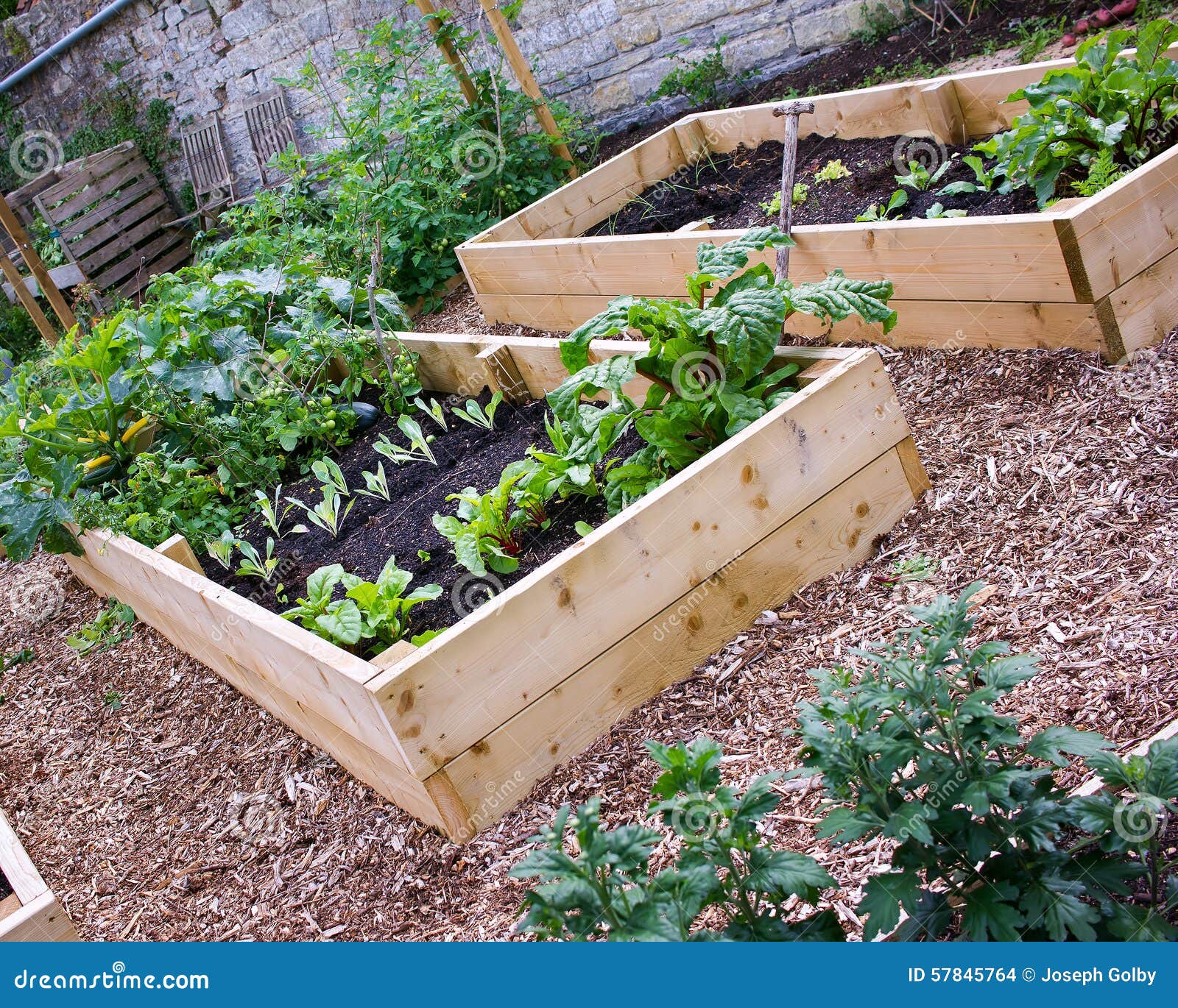 Rustikaler Land-Gemüse-u. Blumen-Garten Mit Hochbeeten Stockfoto - Bild ...