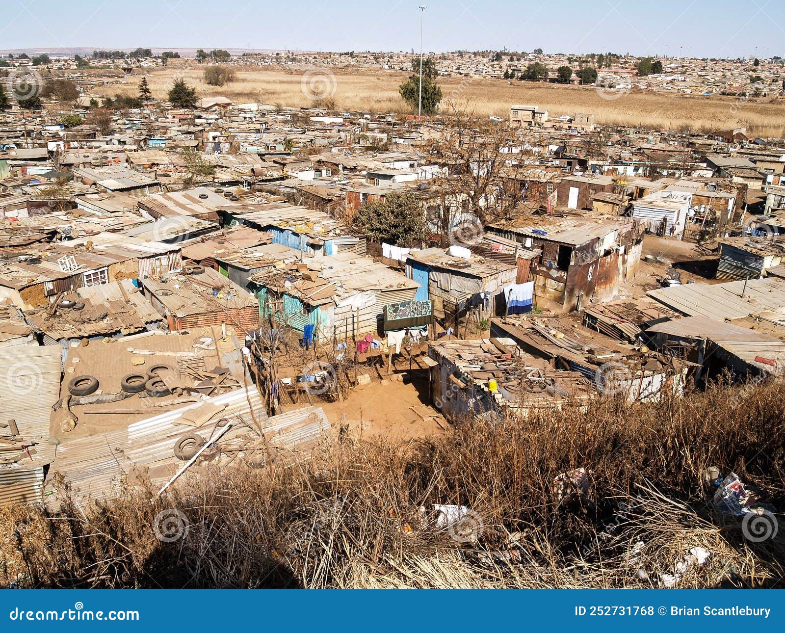 Rusting Corrugated Iron Structures Crammed into Slum Village in Soweto ...