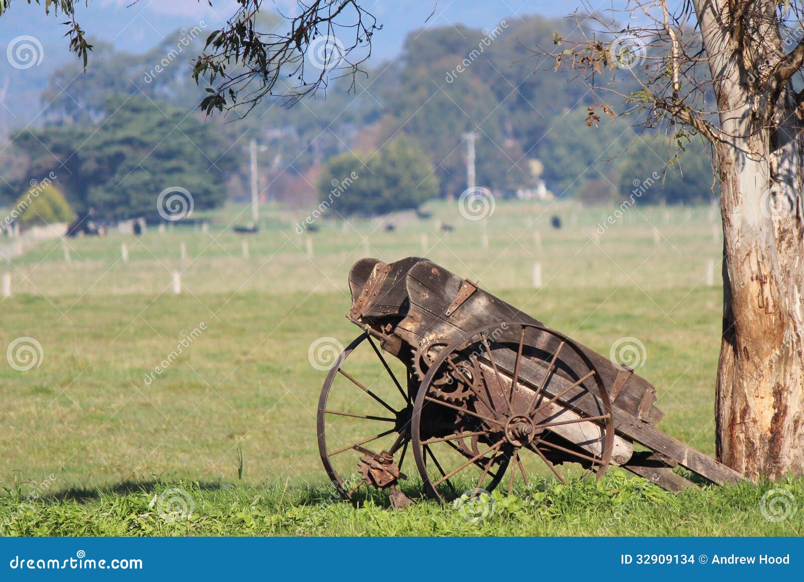 Tree Cogs Gears Stock Photos - Free & Royalty-Free Stock Photos from ...