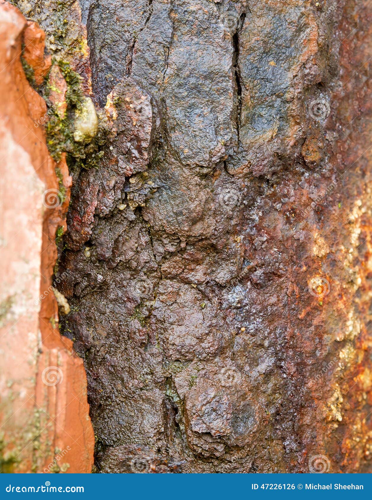 Rusting metal stock photo. Image of iron, metallic, architecture - 47226126