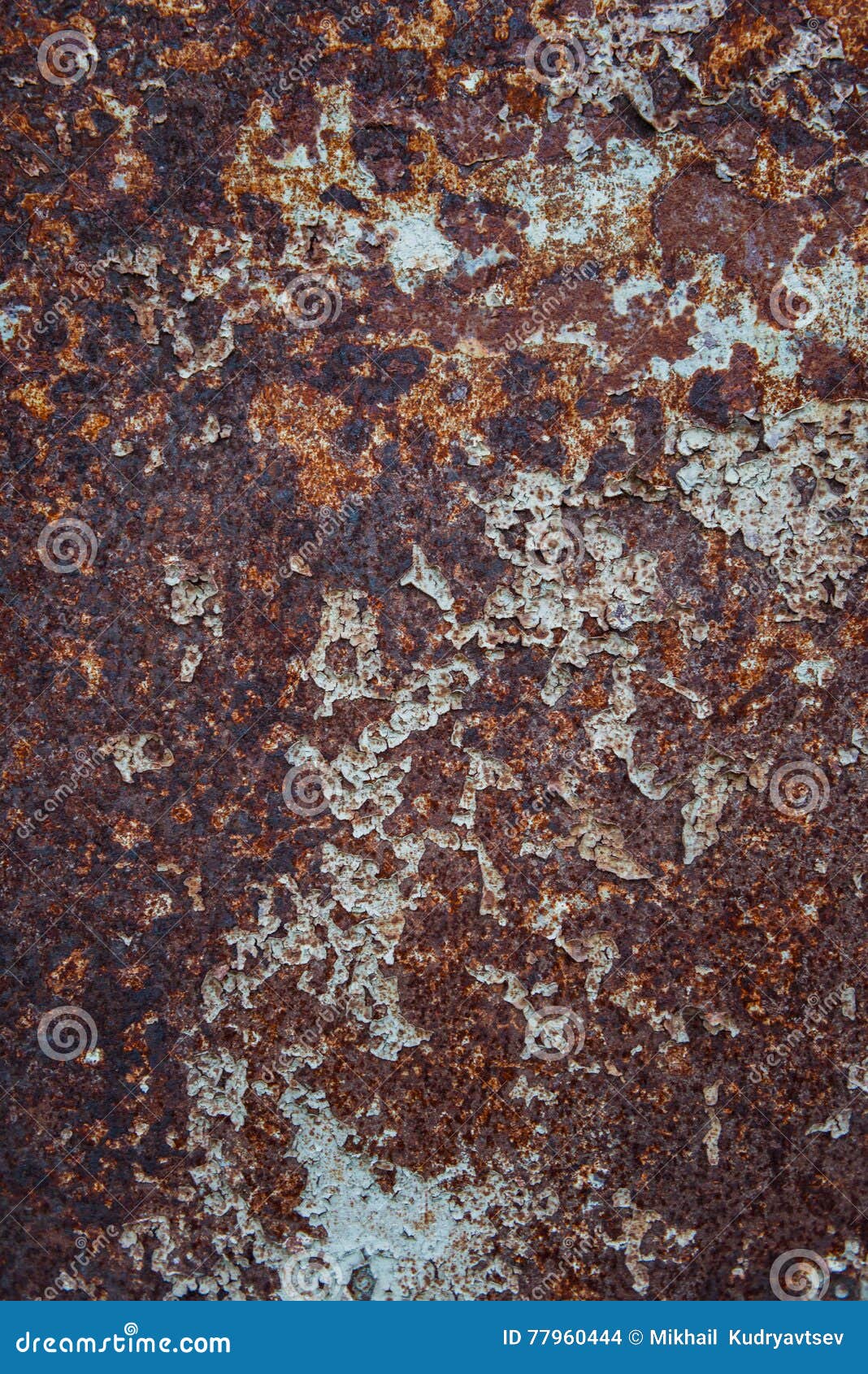 Rusting metal stock photo. Image of metallic, grunge - 77960444
