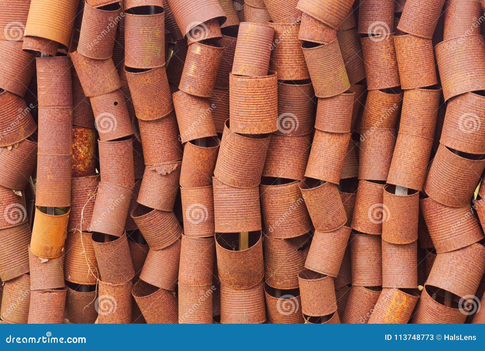 Rusting Tin Cans stock image. Image of container, conservation - 113748773