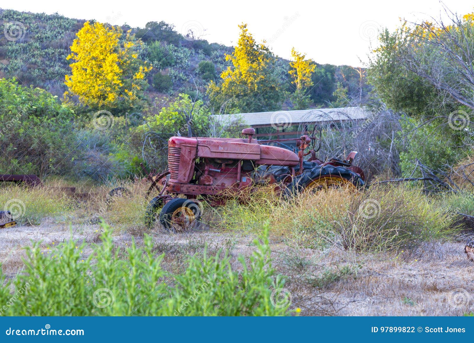 Rusting Tractor stock photo. Image of vegetation, landscape - 97899822