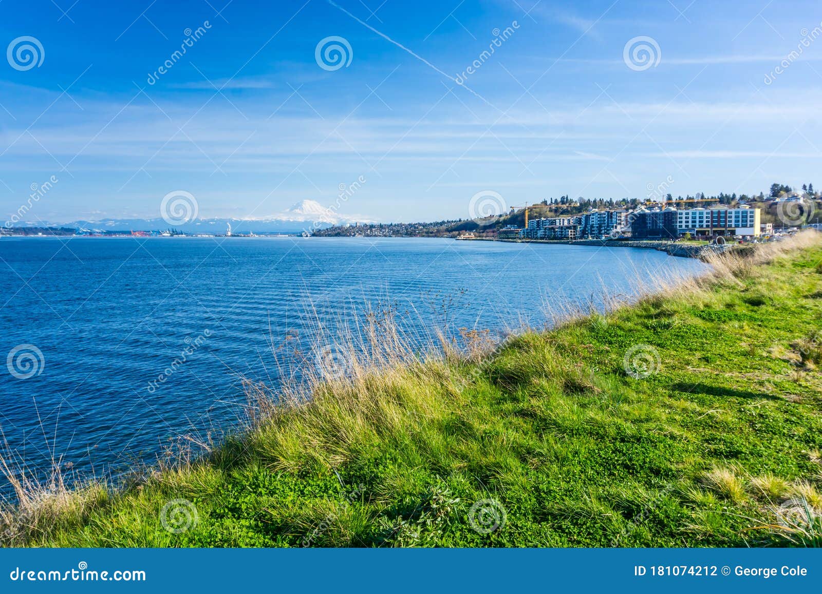 Ruston Shoreline from Park stock photo. Image of harbor - 181074212