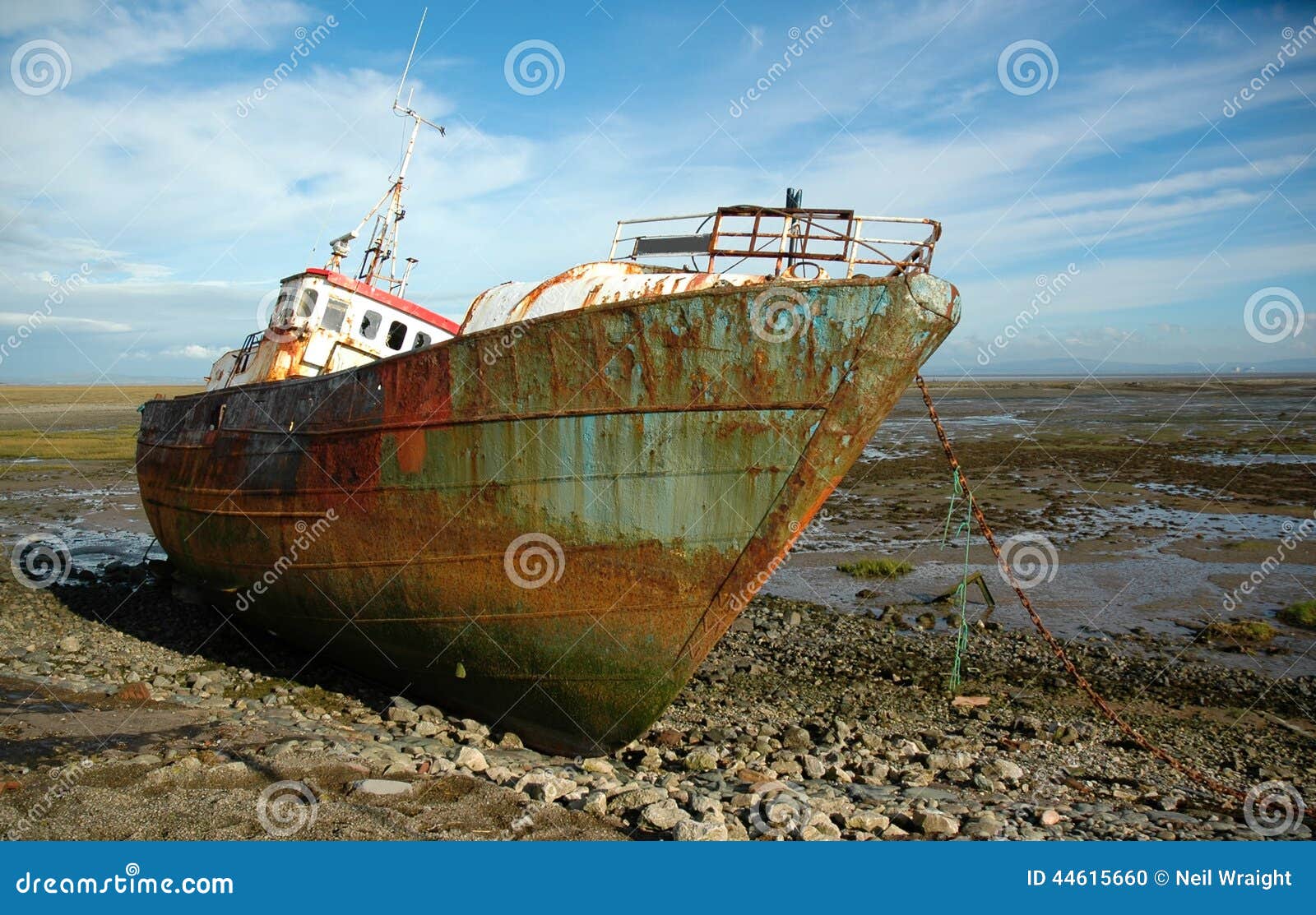 Rust Tin Can On The Beach. Garbage On The Beach. Marine Pollution ...