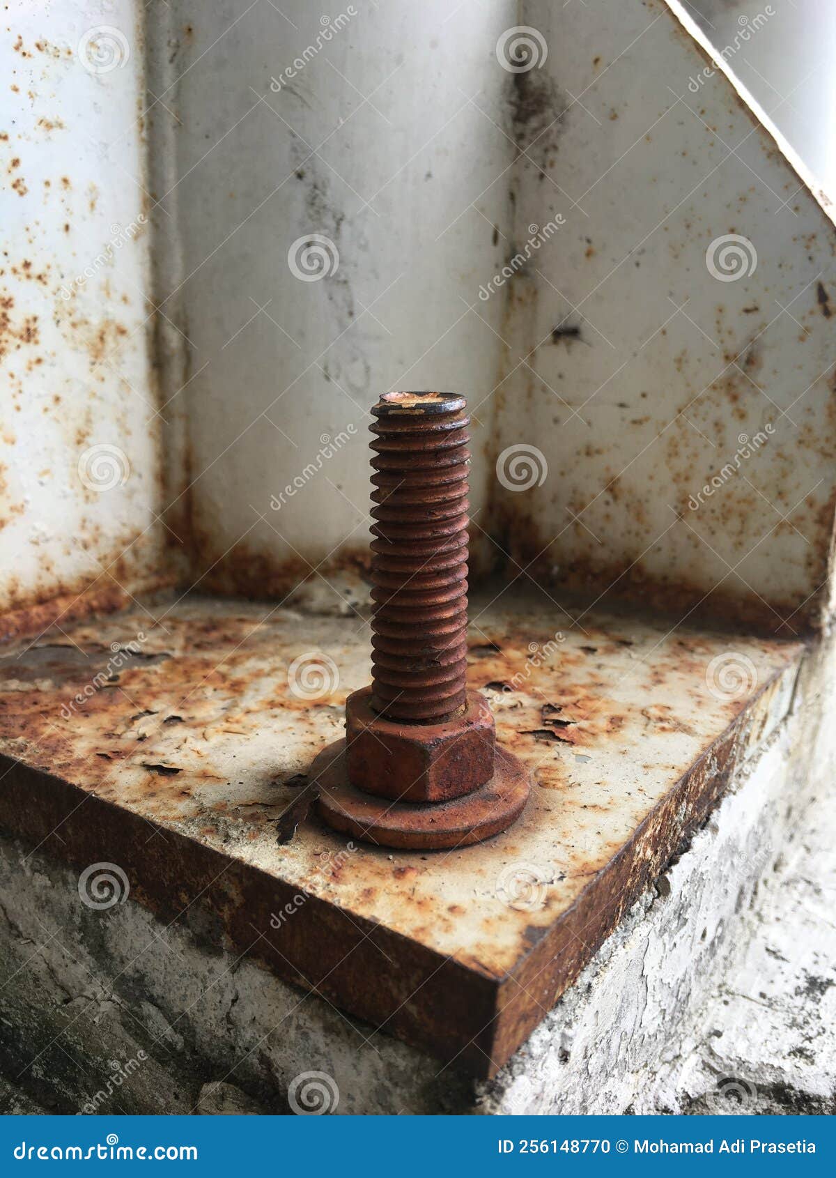 A Rusty Anchor Iron in Canopy Building Stock Photo - Image of canopy ...