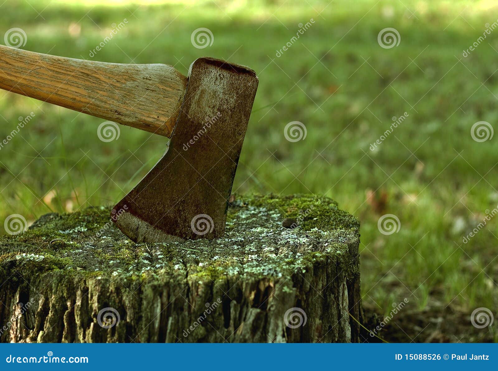 Rusty axe in a tree stump stock photo. Image of rusty - 15088526