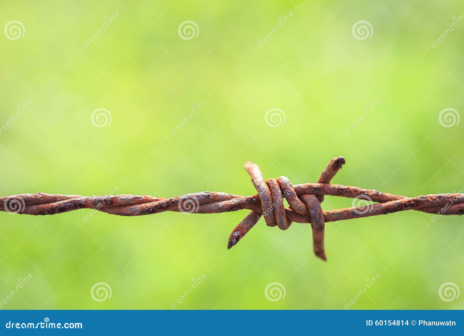 Rusty Barb on Green Blur Background Stock Photo - Image of border ...