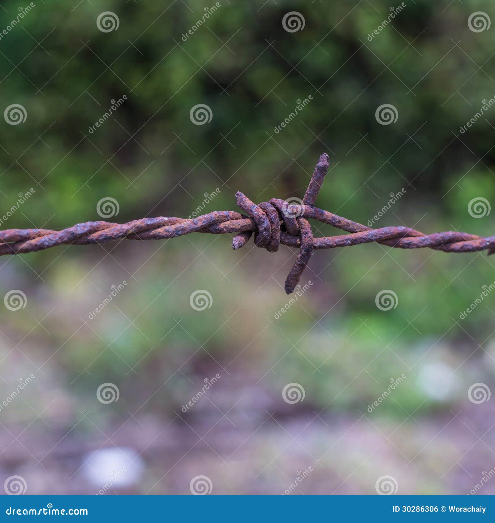 Rusty barb wire stock photo. Image of metallic, wire - 30286306