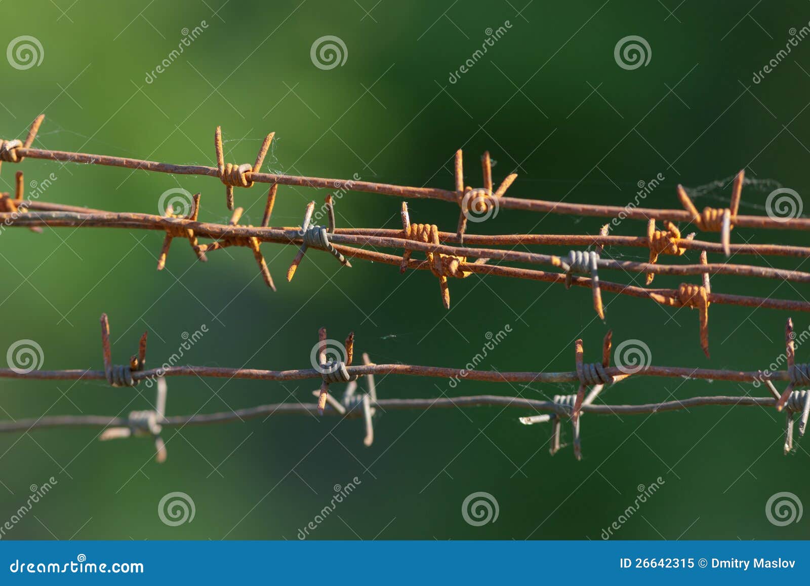Rusty barbed wire stock image. Image of wire, foreground - 26642315
