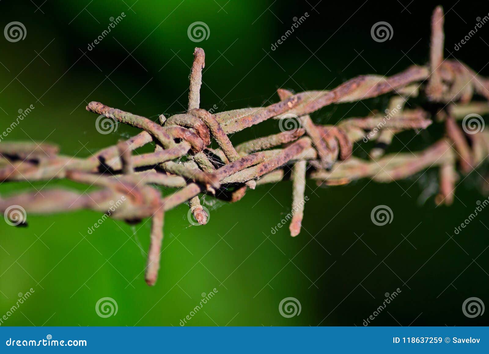 Rusty Barbed Wire on an Abstract Green Background Stock Image - Image ...